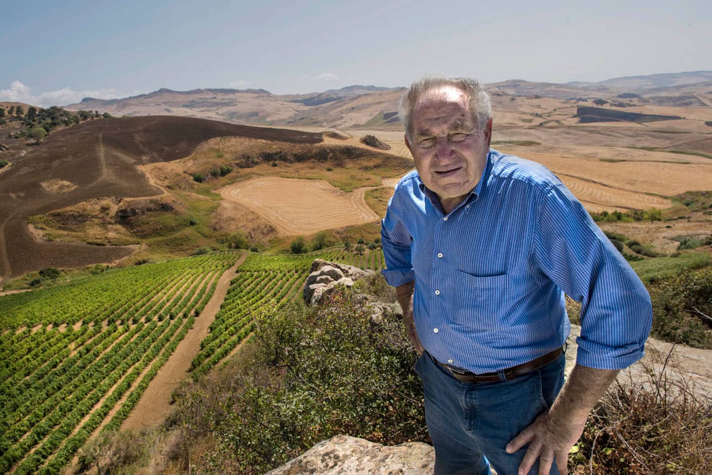 Castellucci Miano Winery | Man O' War Imports Vineyards
